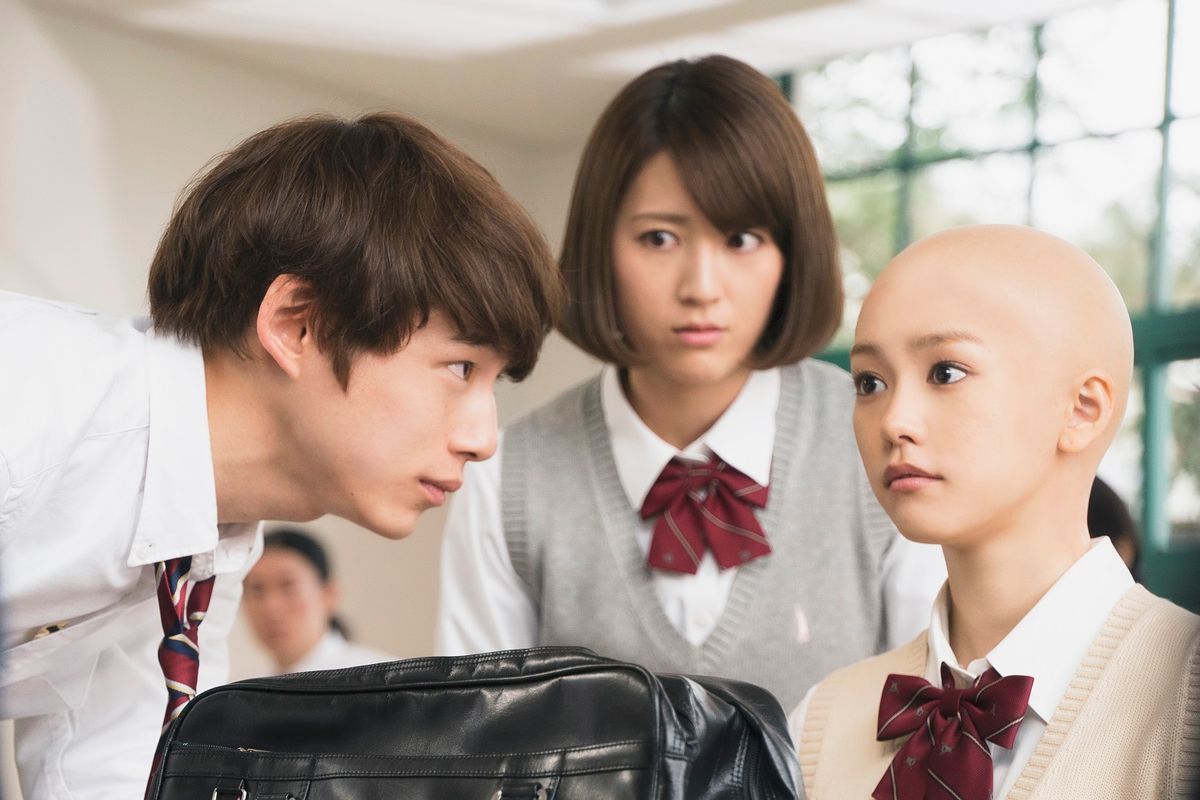 桐谷美玲、『ヒロイン失格』衝撃の丸刈り姿が公開! シネマトゥデイ