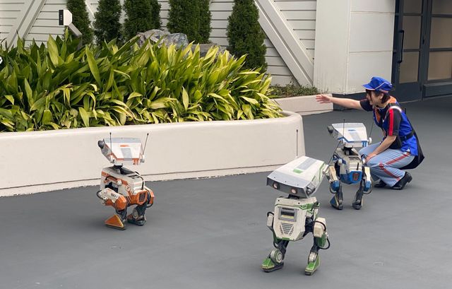 TDLを散策中の初登場“BDXドロイド”たち：フォトギャラリー｜シネマトゥデイ